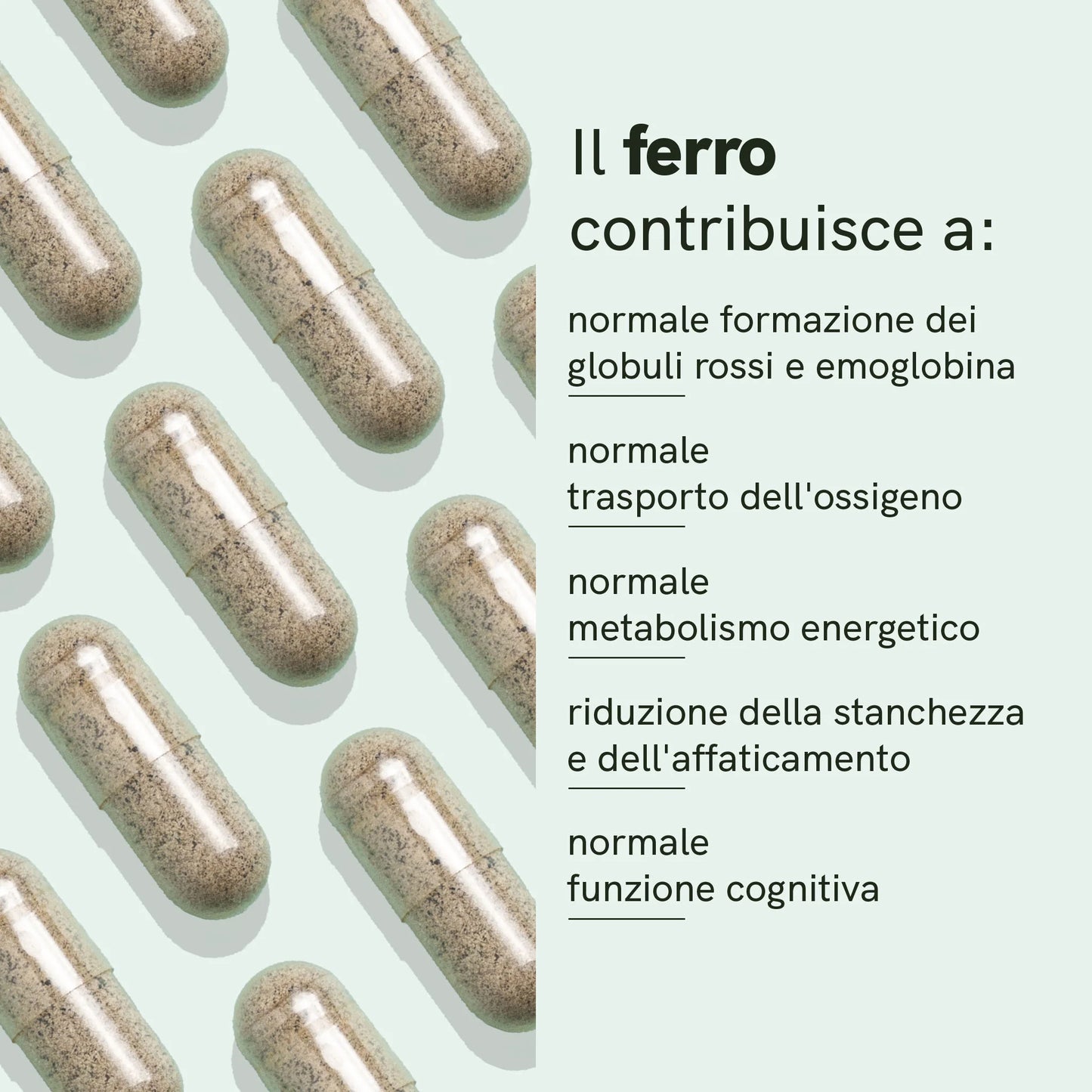 Capsule di ferro e vitamina C – Per energia e sistema immunitario | 120 ...